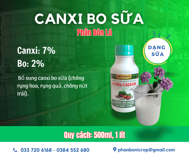 Canxi Bo Sữa Vinastar – Calciborat